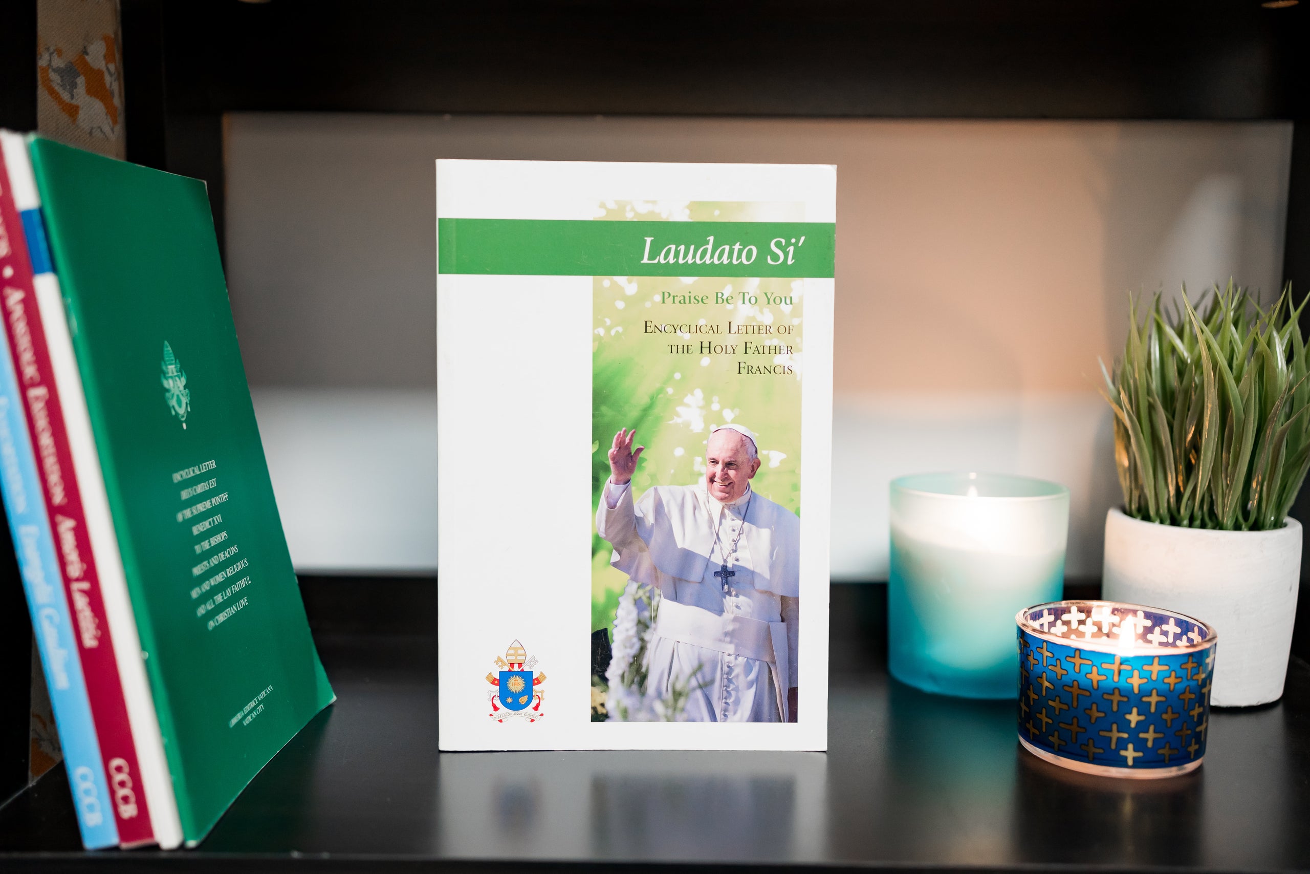 Encyclical - Laudato Si (Pope Francis) | Mary's Nook